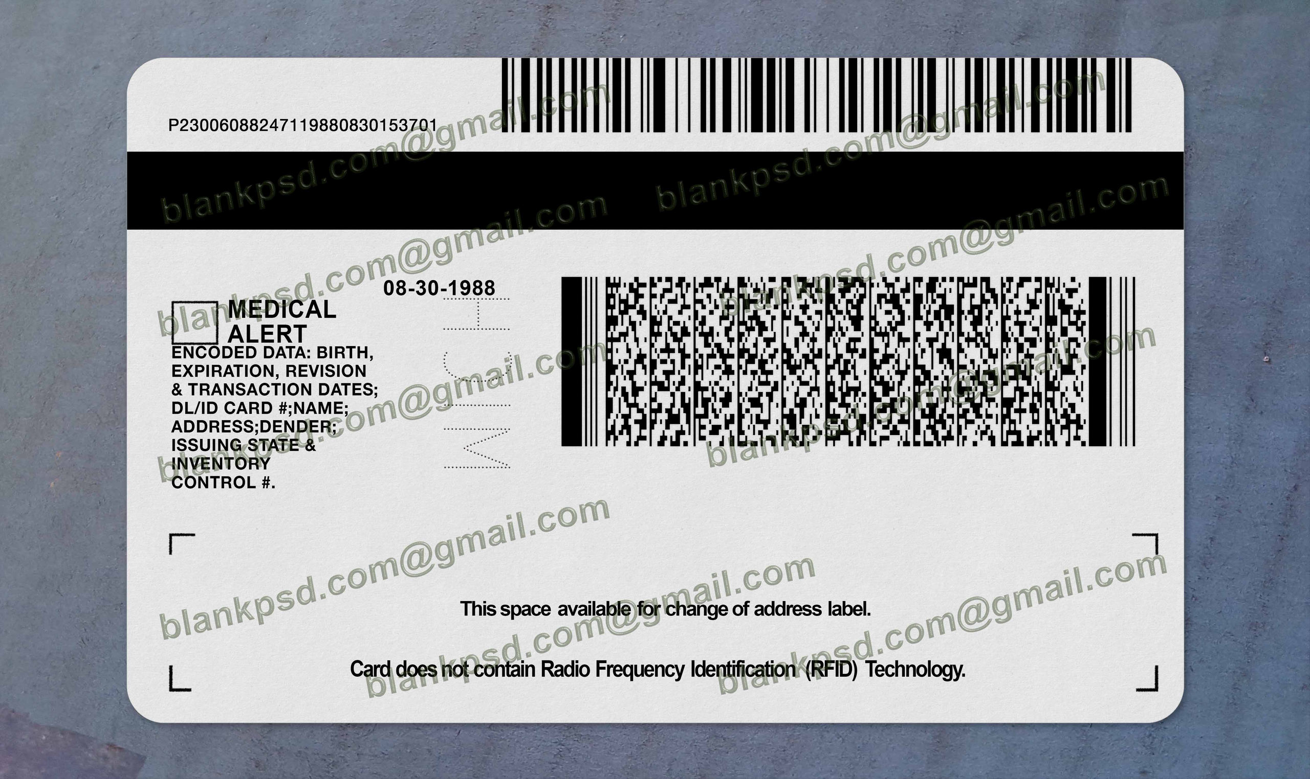 Michigan Drivers License
