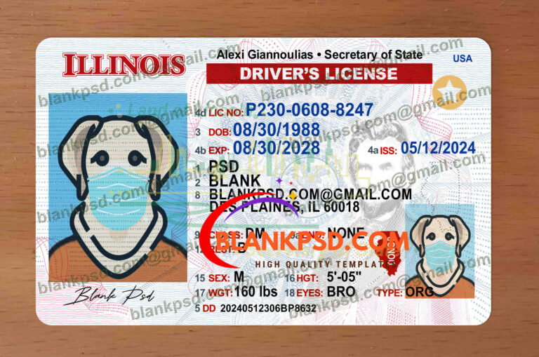 Drivers License Psd - High Quality - Blank PSD