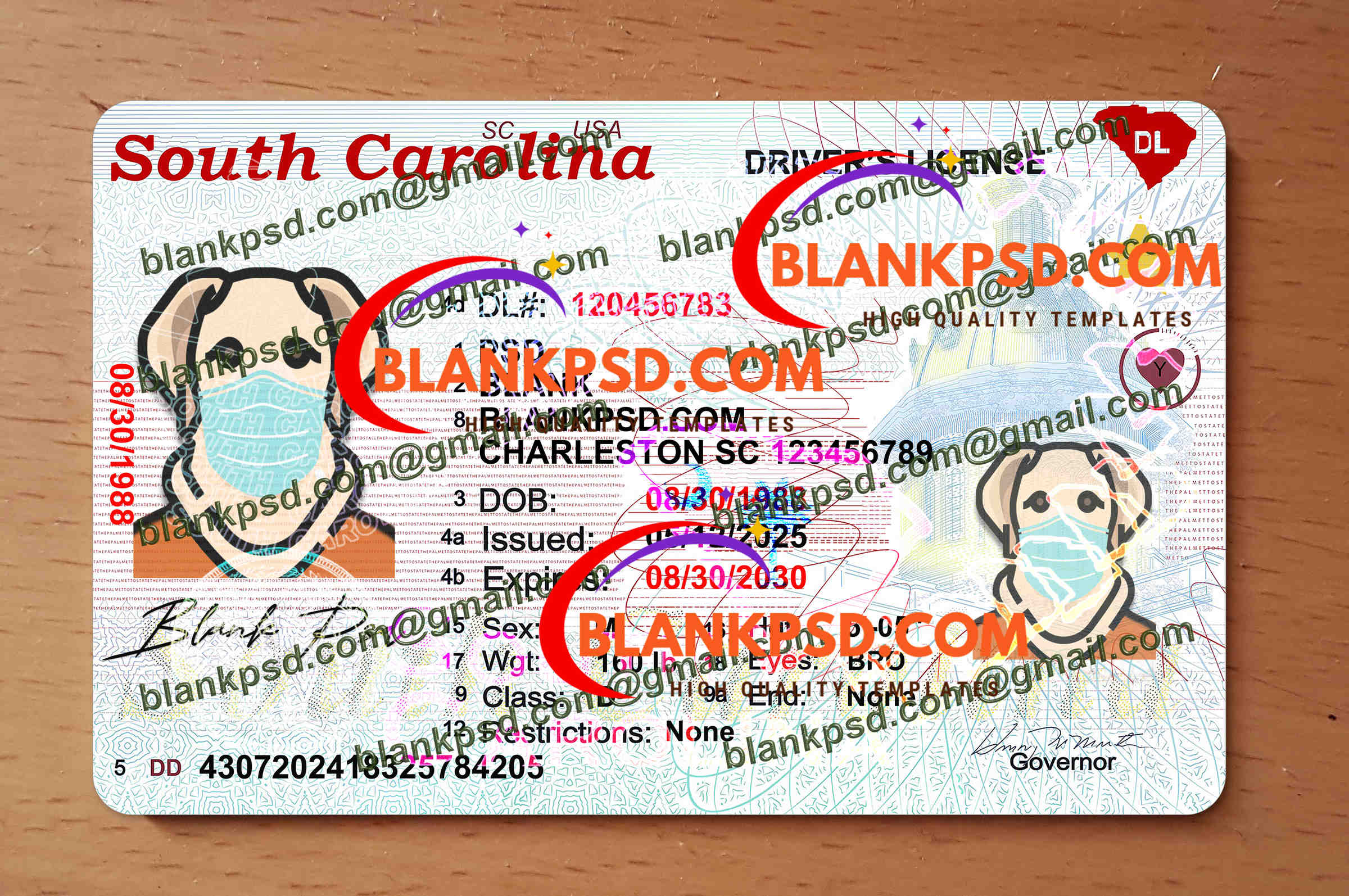 South Carolina Drivers License Psd New V2 - Blank PSD