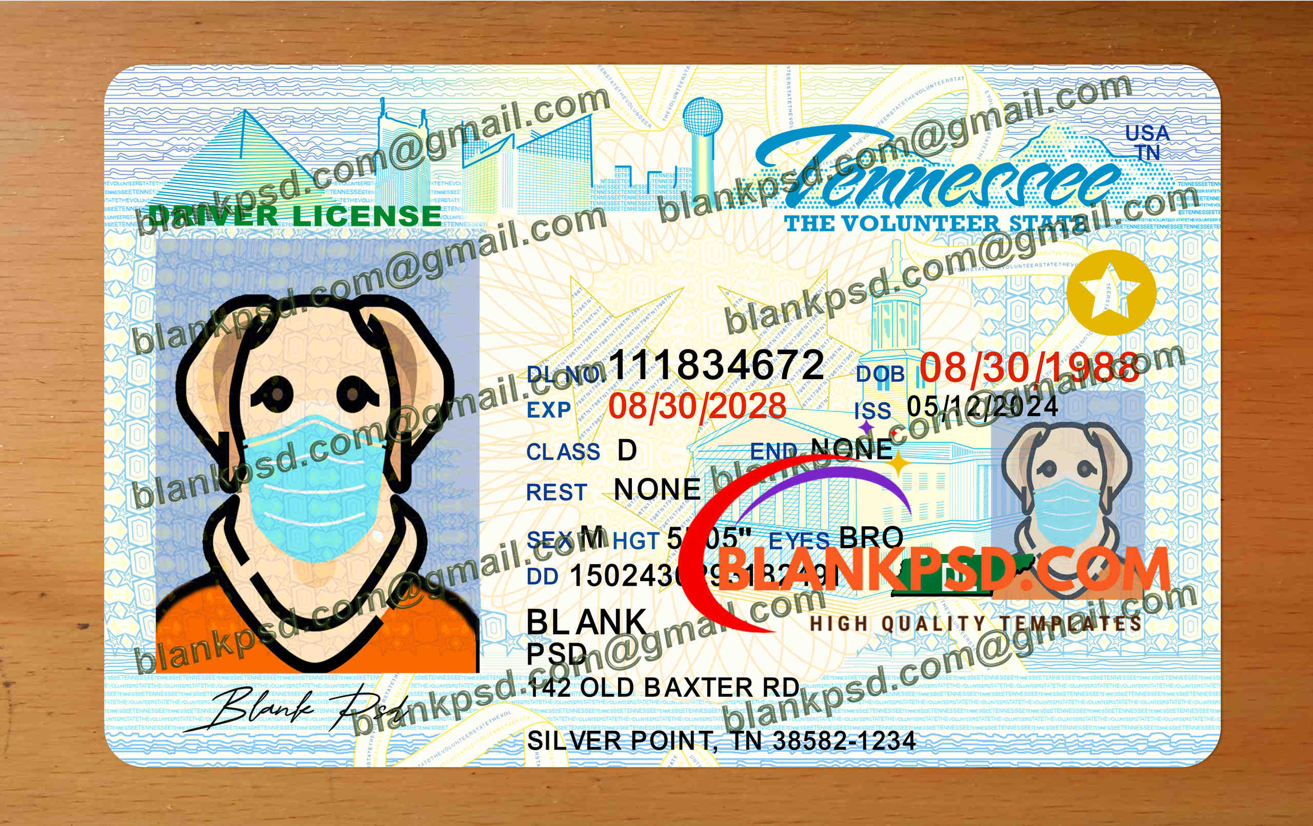 Blank Tennessee Drivers License Template New V2 - Blank PSD