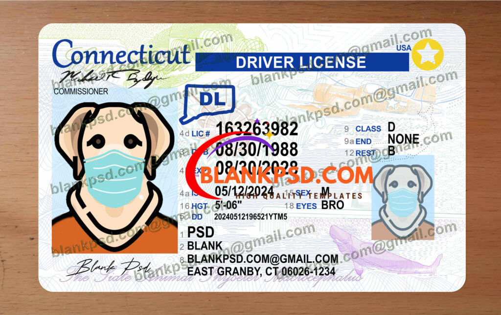 Connecticut Drivers License Template New V2 1200 DPI