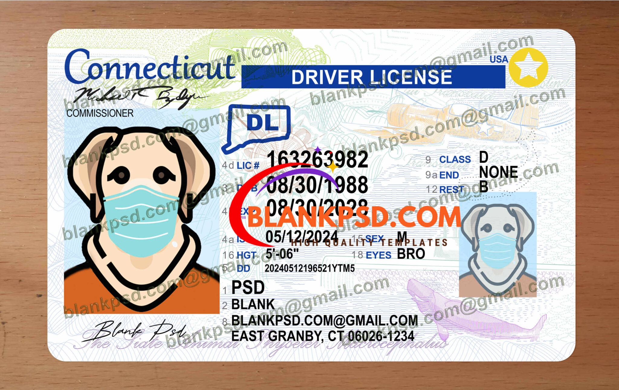 Connecticut Drivers License Template New V2 1200 DPI