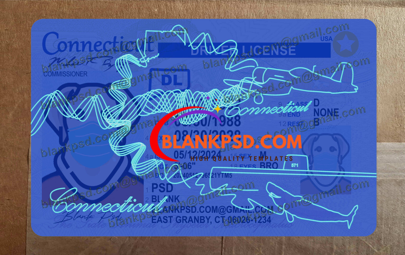 Connecticut Drivers License Template New V2 1200 DPI