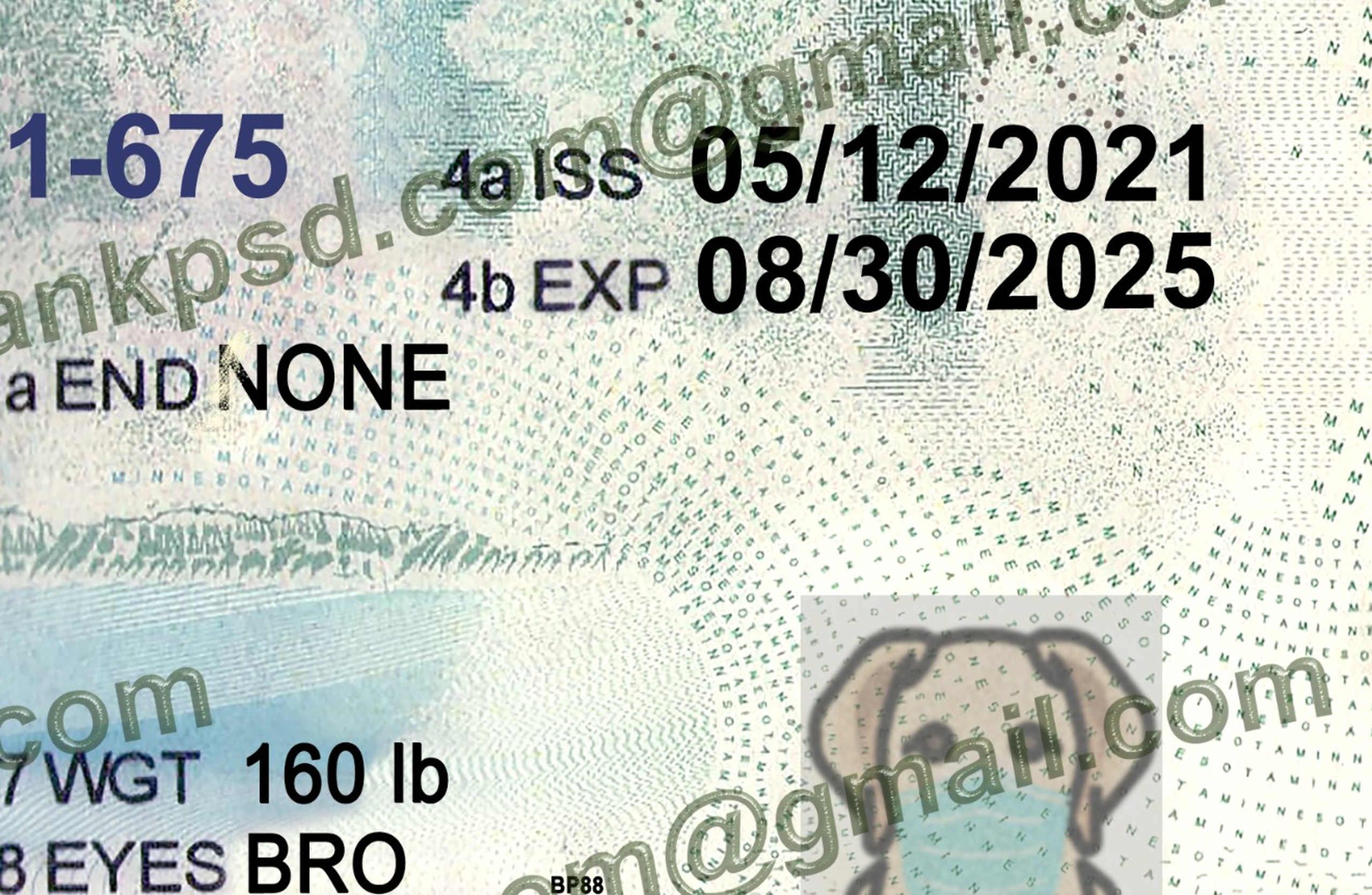 Minnesota Drivers License Template New V2 - Blank PSD