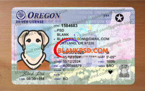 Oregon Drivers License Template New V2 - Blank PSD