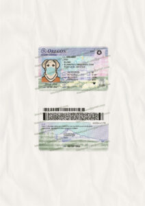 Oregon Drivers License Template New V2 - Blank PSD