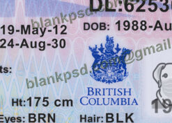 British Columbia Drivers License Template V1 - Blank PSD