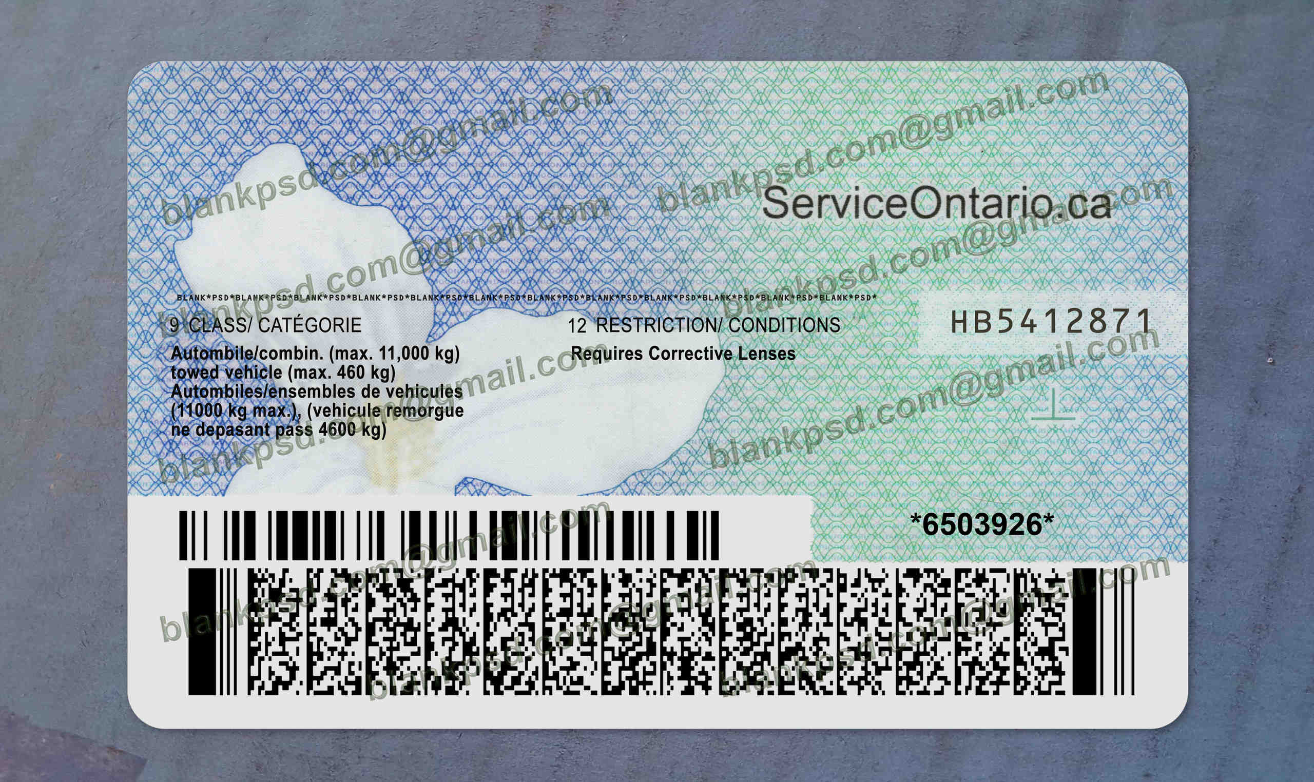 Ontario Drivers License Template New V1 Blank PSD