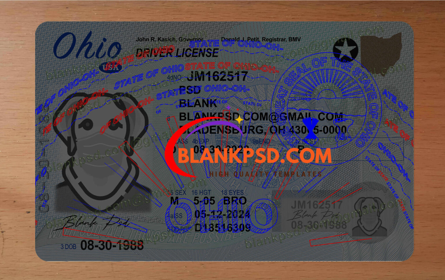 Ohio Drivers License Template New V2 - Blank PSD
