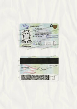 Ohio Drivers License Template New V2 - Blank PSD