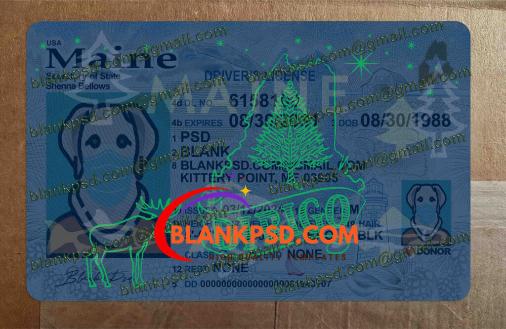 Maine Drivers License Template New V2 2024 - Blank PSD