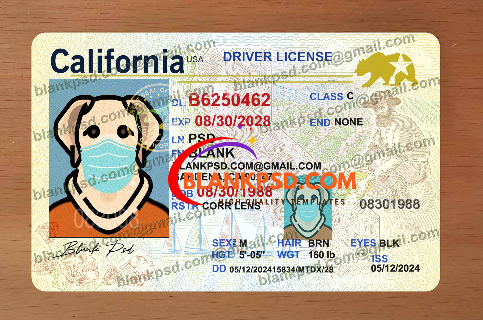 Blank PSD Drivers License, ID Card, Passport, Bank Statement