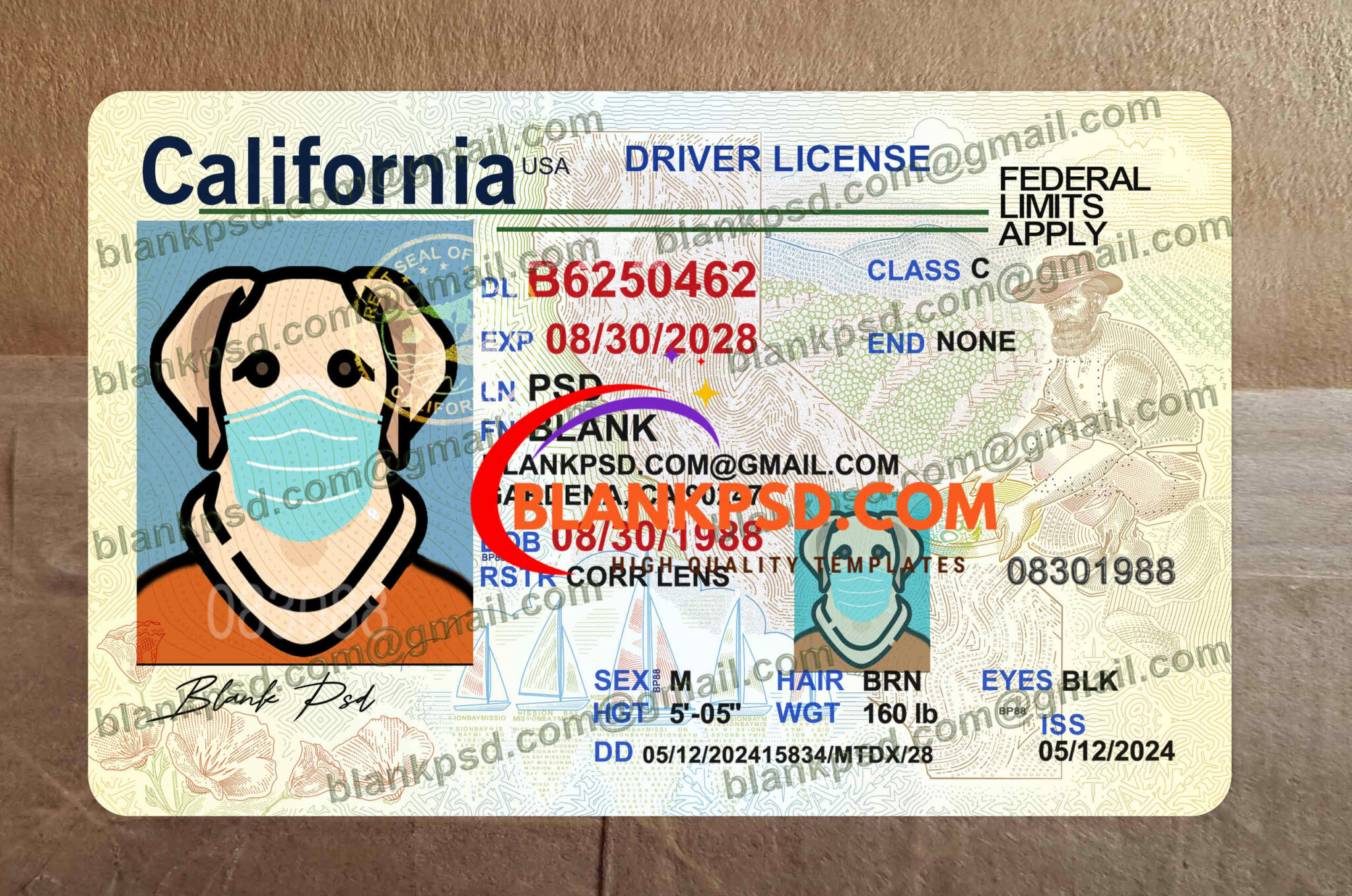 Fake California Drivers License New V3 2400 DPI
