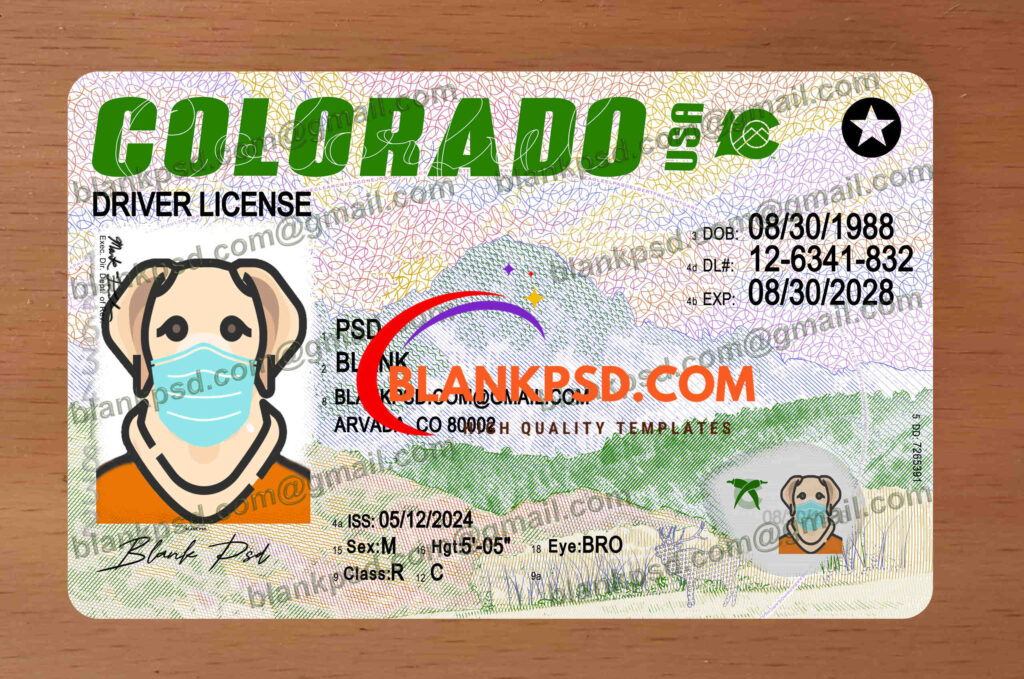 Fake Colorado Drivers License Template PSD V4 2400 DPI