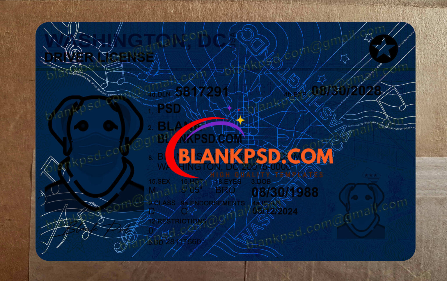 Washington DC Driver License Template New V3 2024