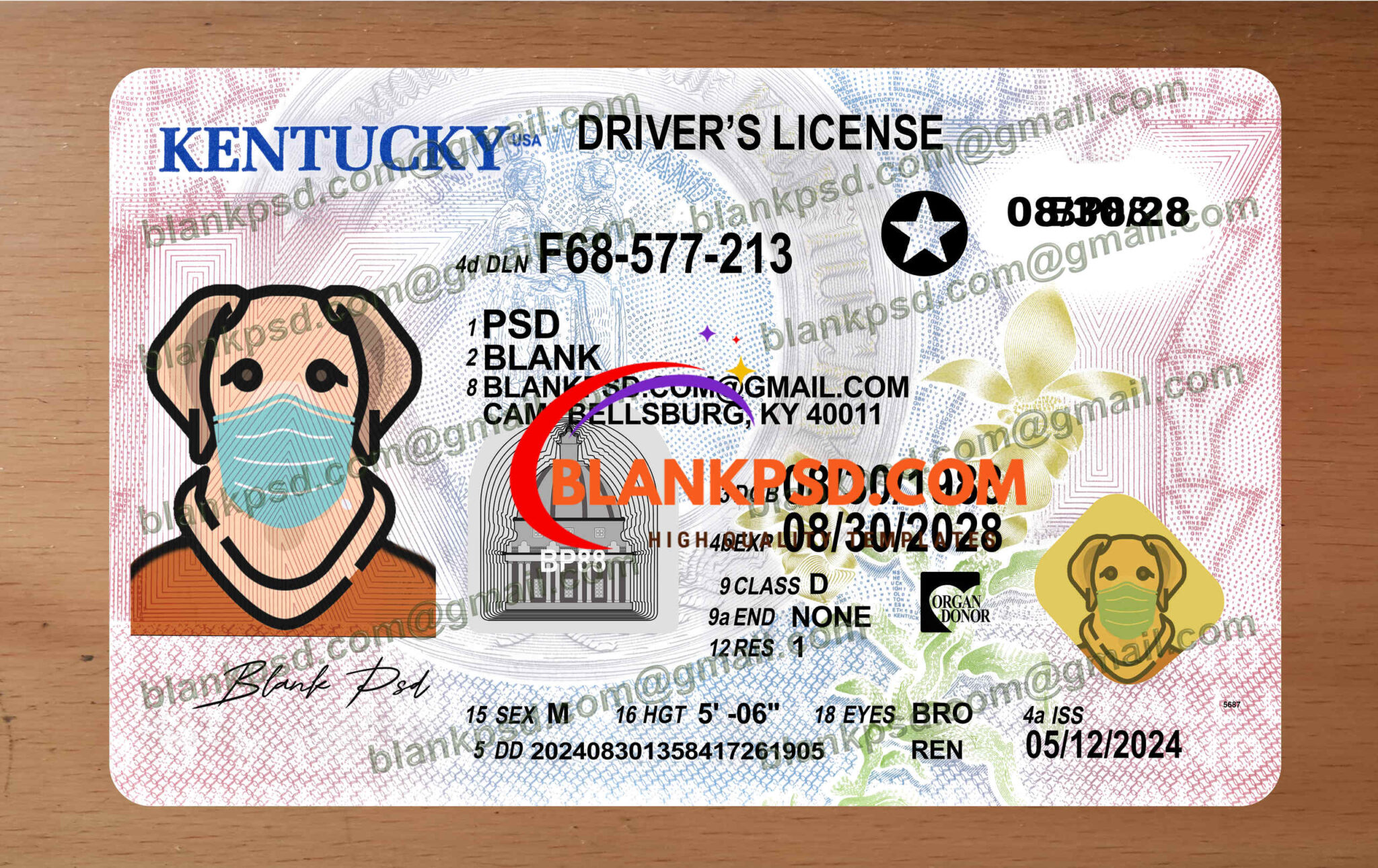 Blank PSD Drivers License, ID Card, Passport, Bank Statement - Blank PSD