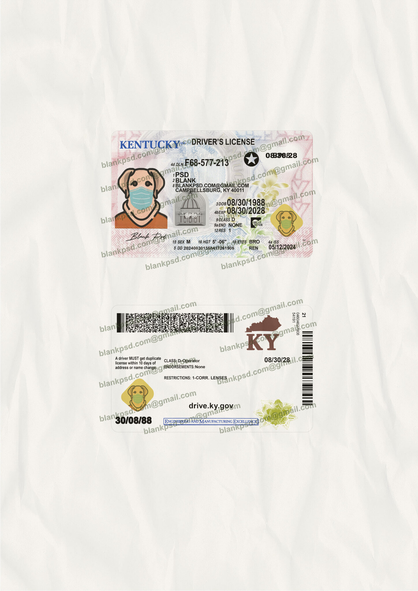 Fake Kentucky Drivers License New V2 2024 - Blank PSD