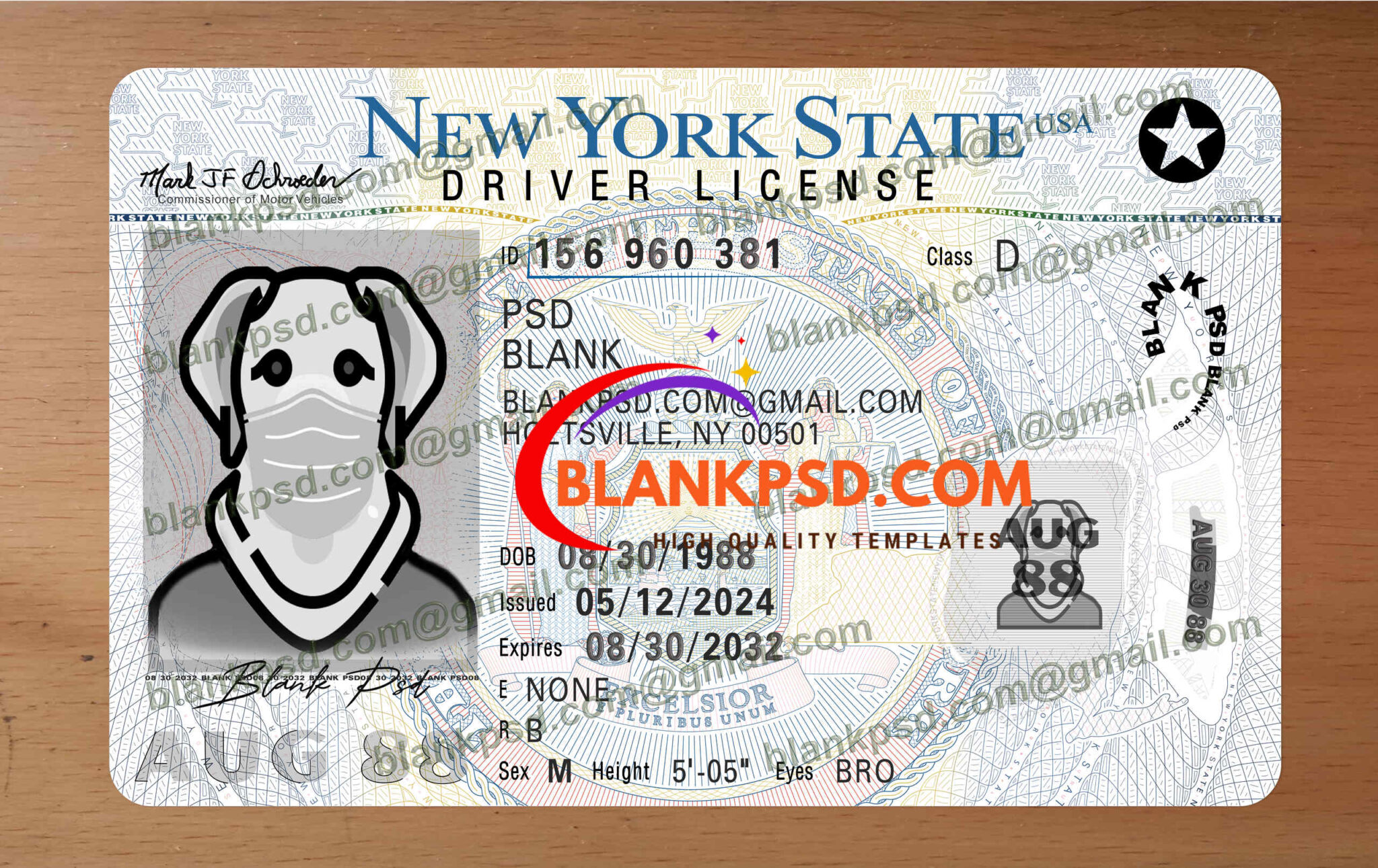 Blank PSD Drivers License, ID Card, Passport, Bank Statement - Blank PSD
