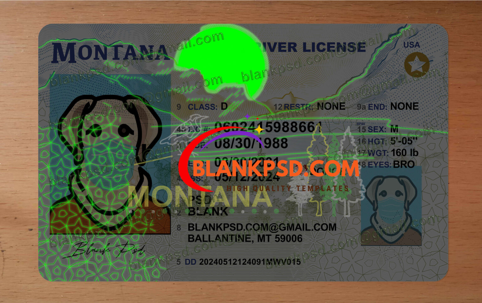 Montana Drivers License Template New V2 2024