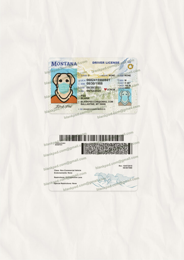 Montana Drivers License Template New V2 2024