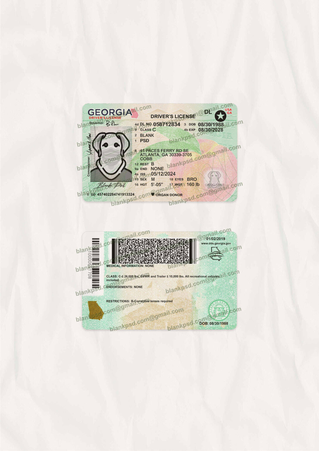 Georgia Drivers License Template New V3 1200 DPI - Blank PSD