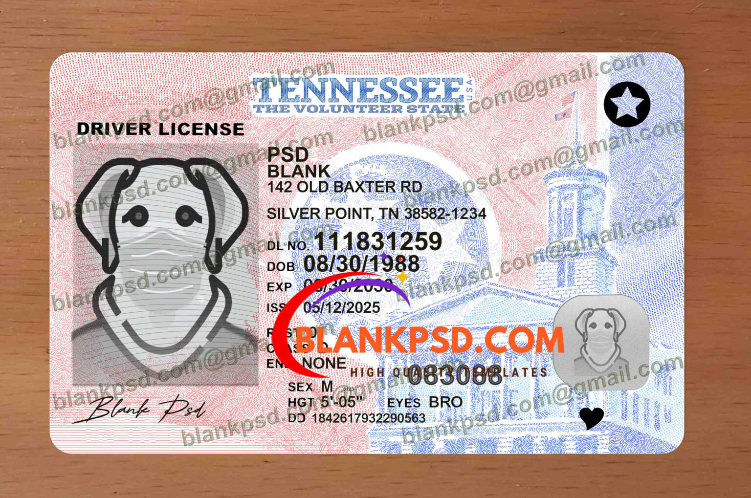 Blank PSD Drivers License, ID Card, Passport, Bank Statement