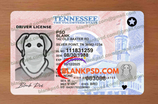Blank PSD Drivers License, ID Card, Passport, Bank Statement