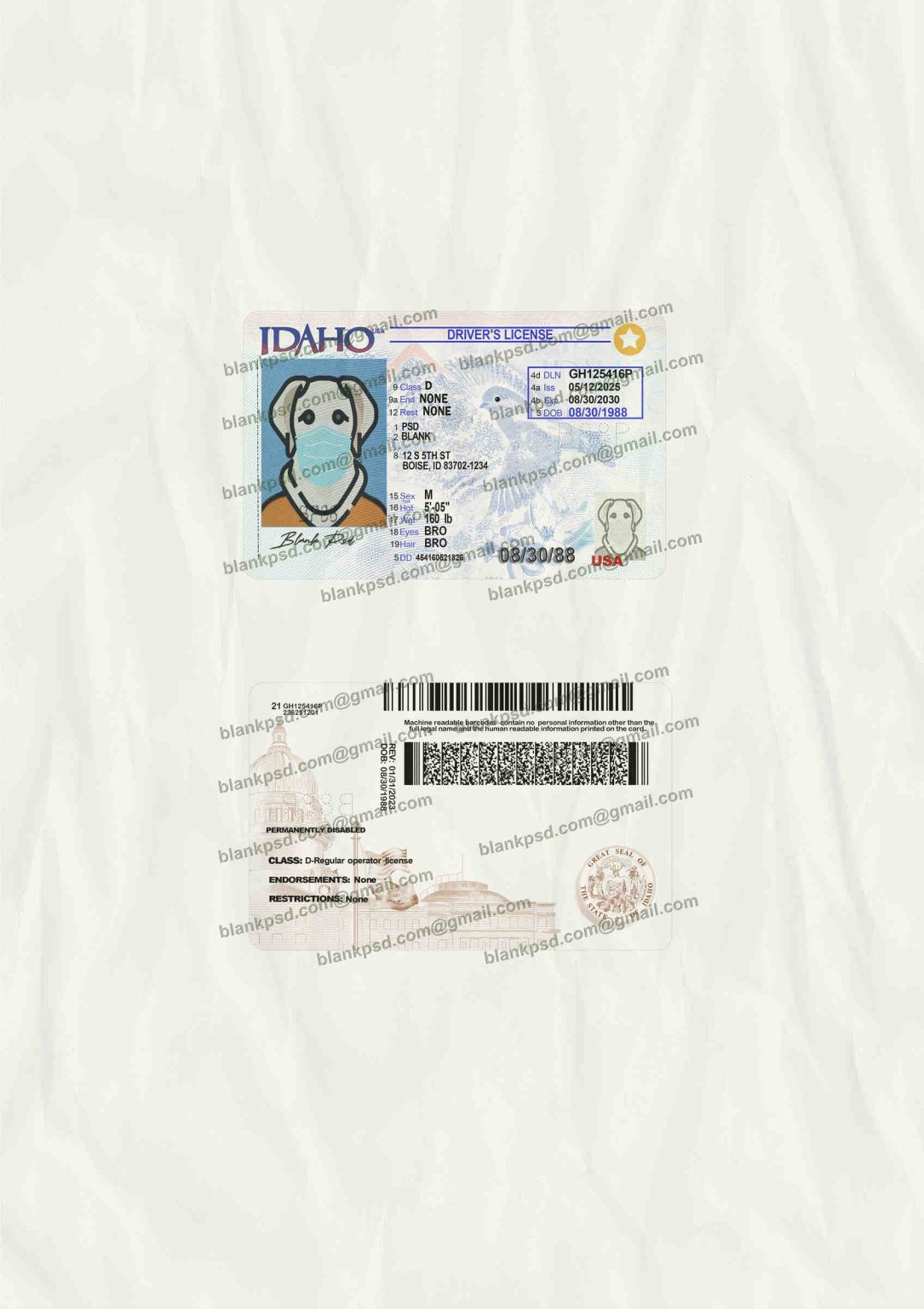 Idaho Driver License Template New V3 2400 DPI - Blank PSD